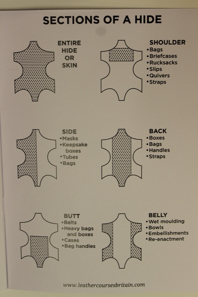 GDH Leather Courses 2025 Leather - Parts of the hide - GDH Leather ...